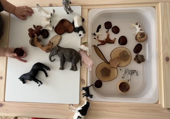 Early Years Tips and Advice | Print Play Learn Blog