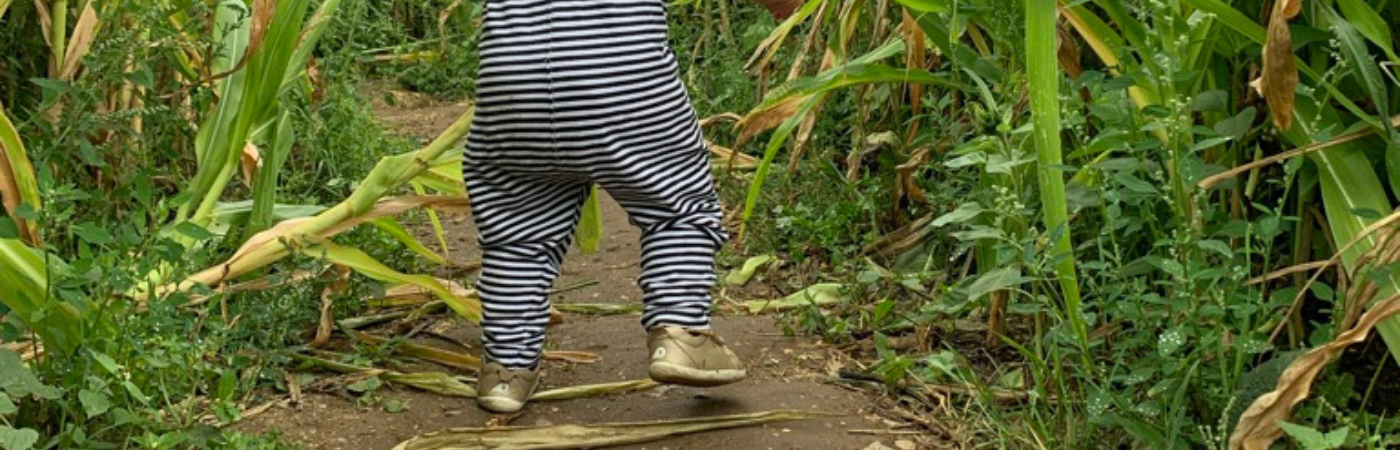 A Look At the Curiosity Approach® to Learning - Teaching Ideas Blog Get ...