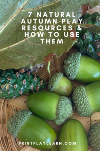 7 Natural Autumn Play Resources & How to Use Them - Teaching Ideas Blog ...