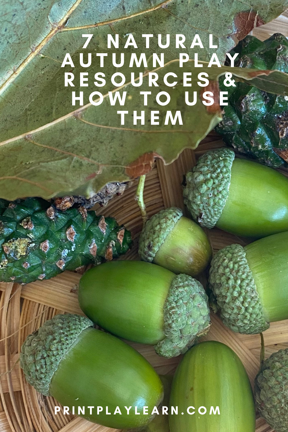 7 Natural Autumn Play Resources & How to Use Them - Teaching Ideas Blog ...