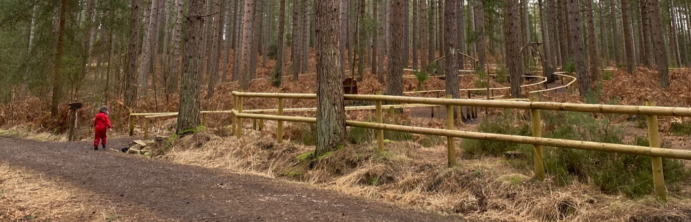 5 Ways to Help Your Little One Learn with a Woodland Walk - Teaching ...