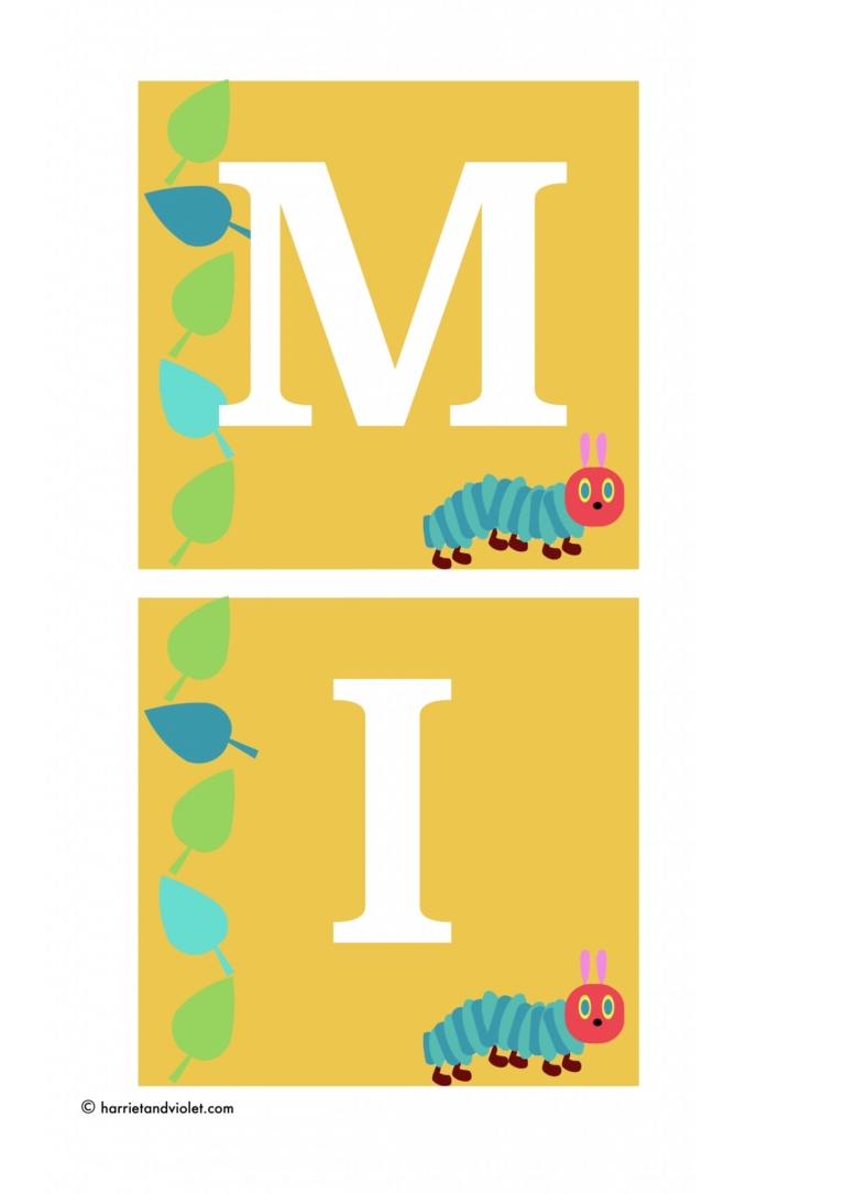 Water Area - instant display title - Printable Teaching Resources ...