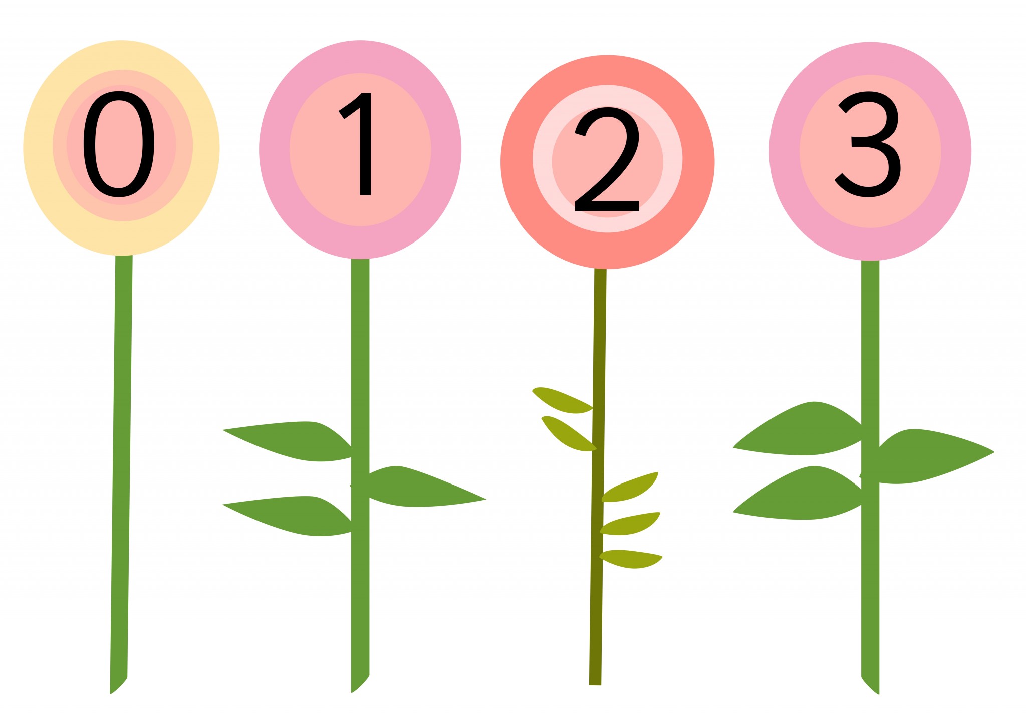0-30 flowers for a display border - Printable Teaching Resources ...