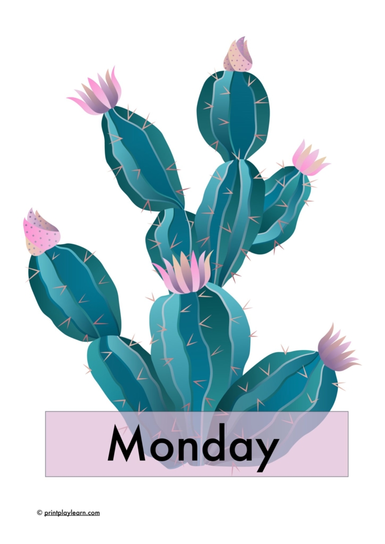 Cactus days of the week - Printable Teaching Resources - Print Play Learn