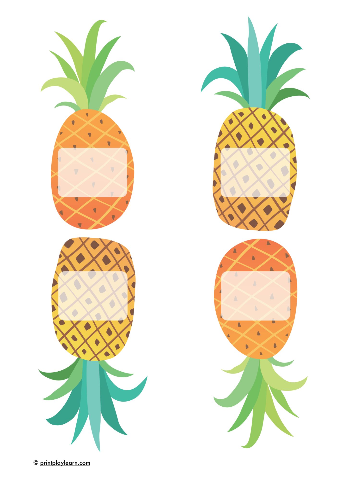 Pineapple Name Labels or Peg Labels - Printable Teaching Resources ...