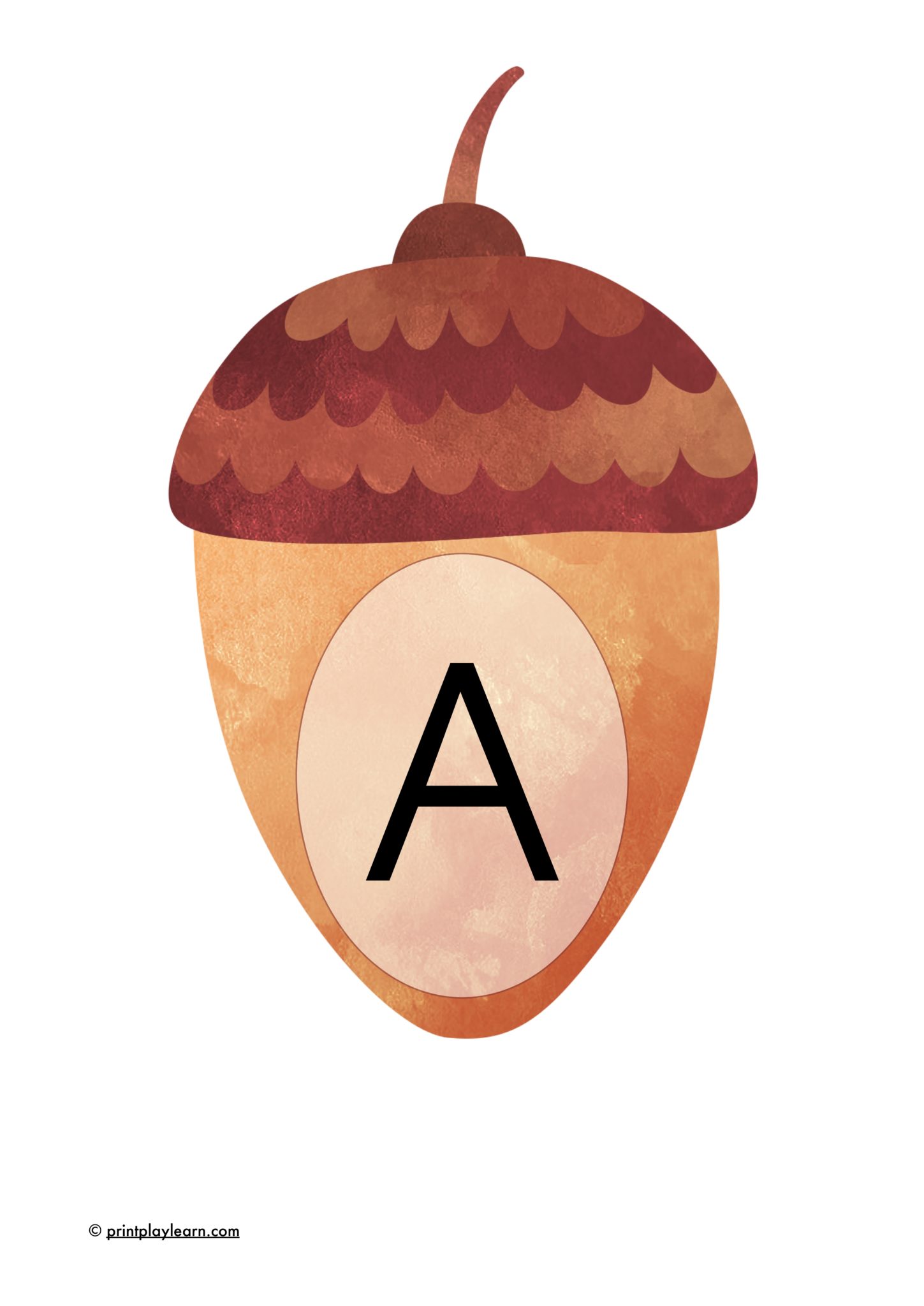 Acorn Display Lettering - Printable Teaching Resources - Print Play Learn