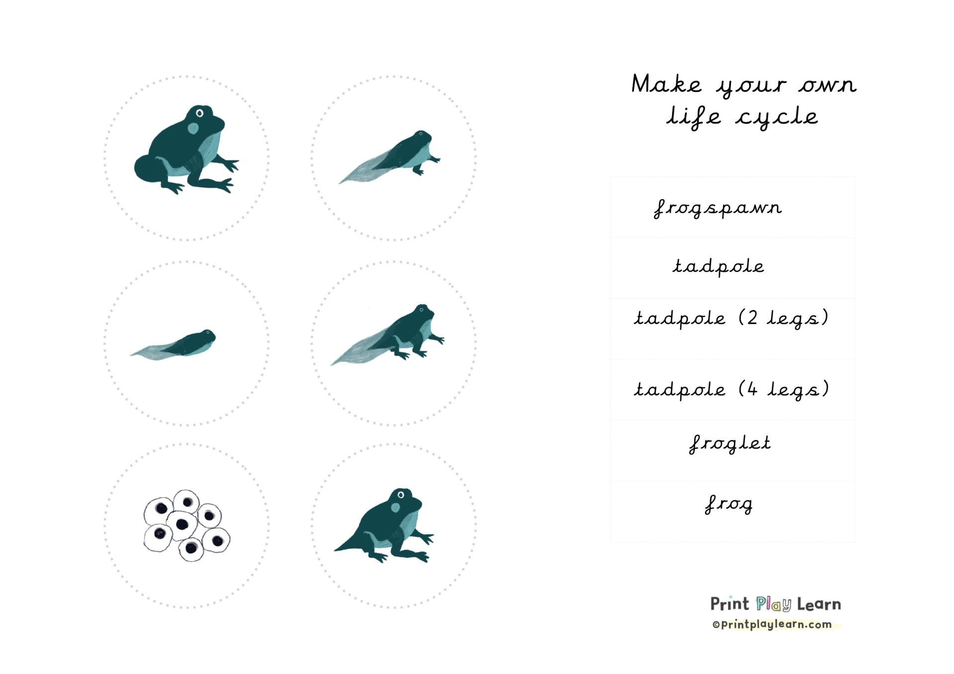 Lifecycle of a frog - create your own - Printable Teaching Resources ...