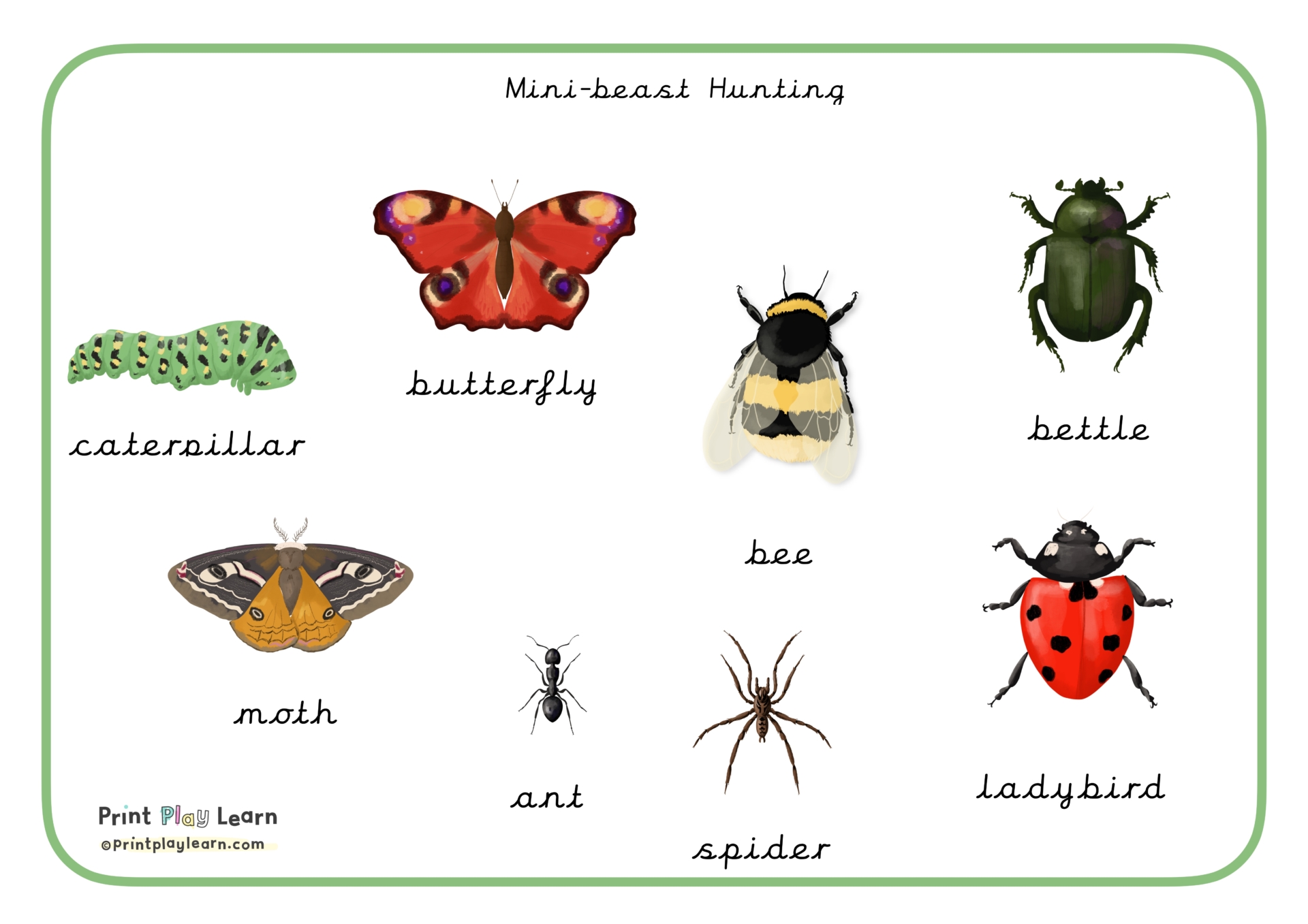 Mini-beast Word Mat - Printable Teaching Resources - Print Play Learn