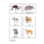 Animal Classification Cards - Printable Teaching Resources - Print Play ...
