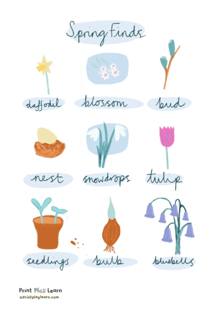 Spring Finds Poster for Children - Printable Teaching Resources - Print ...