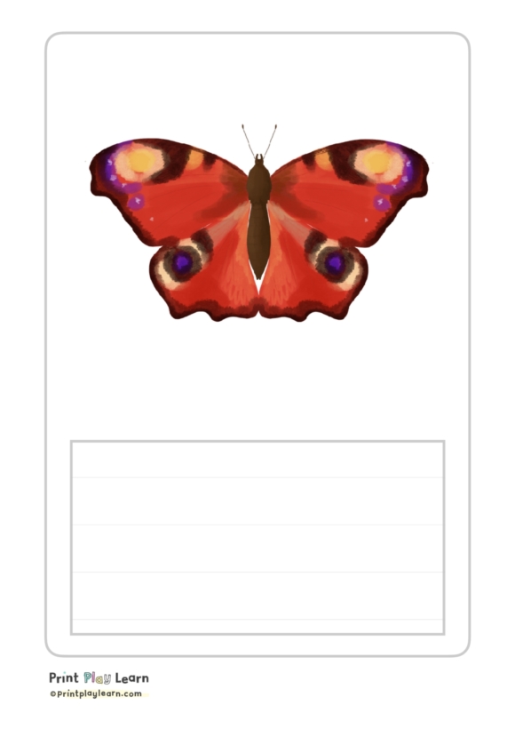 Insect Posters Descriptive Writing (montessori font) - Printable ...