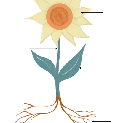 Downloads Archive - Page 6 of 104 - Print Play Learn