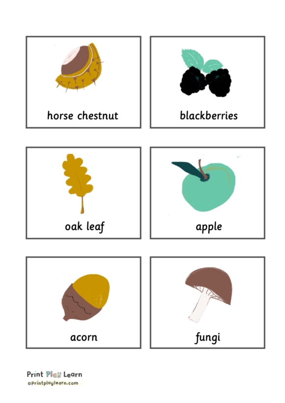Signs of Autumn flashcards kids (Montessori font) - Printable Teaching ...