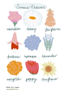 Flowers of Summer Poster - Printable Teaching Resources - Print Play Learn