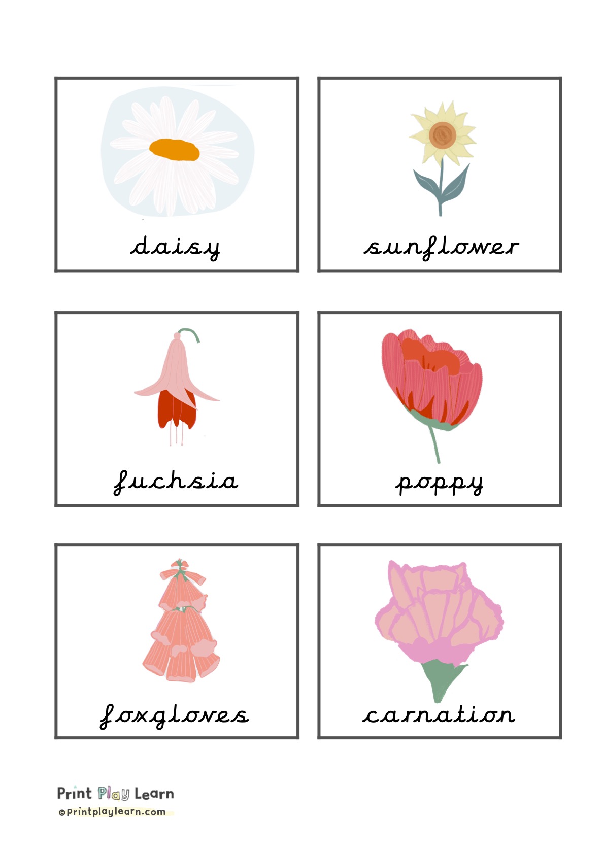 Signs of Summer Flowers - flashcards - Printable Teaching Resources ...
