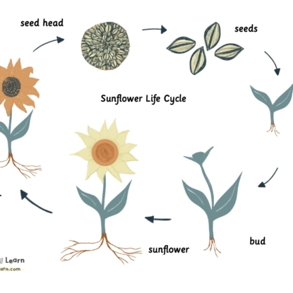 Downloads Archive - Page 5 of 104 - Print Play Learn