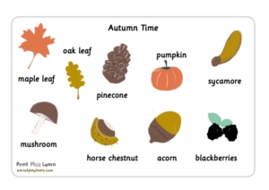 Autumn Finds Word Mat (Montessori) - Printable Teaching Resources ...