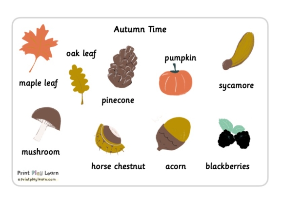 Autumn Finds Word Mat (Montessori) - Printable Teaching Resources ...