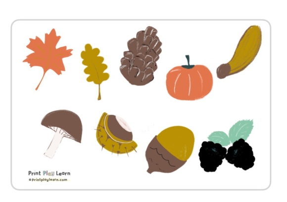 Autumn Natural Objects Poster Word Mat - Printable Teaching Resources ...