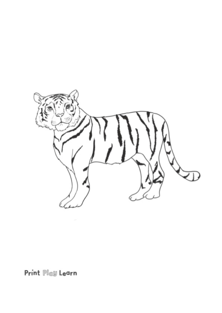 Colouring for children - animals - Printable Teaching Resources - Print ...