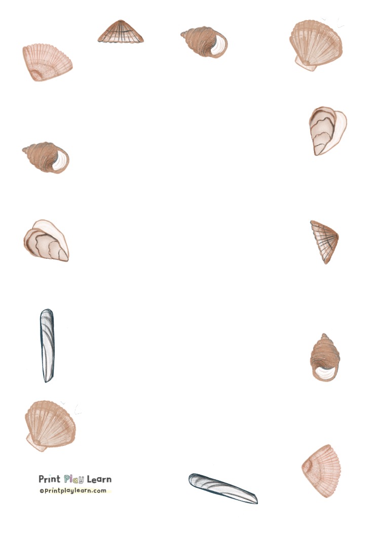 British Shells Writing Paper For Children (Plain) - Printable Teaching ...