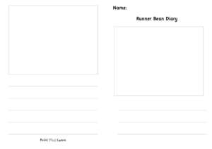 Runner Bean Diary - Printable Teaching Resources - Print Play Learn