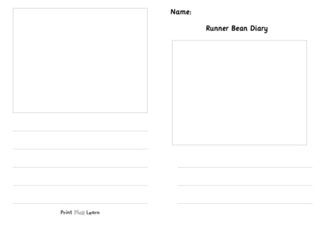Runner Bean Diary - Printable Teaching Resources - Print Play Learn