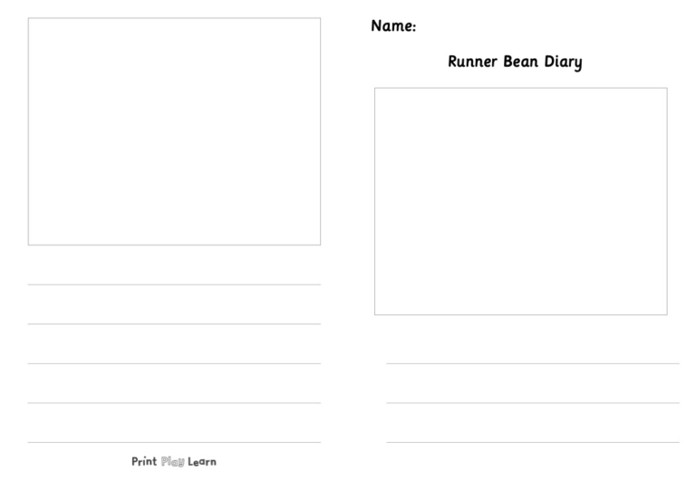 Runner Bean Diary - Printable Teaching Resources - Print Play Learn