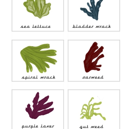 Downloads Archive - Print Play Learn