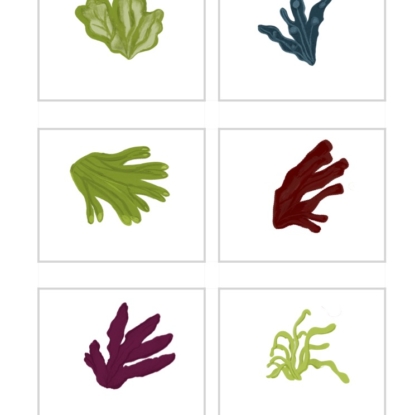 Downloads Archive - Print Play Learn
