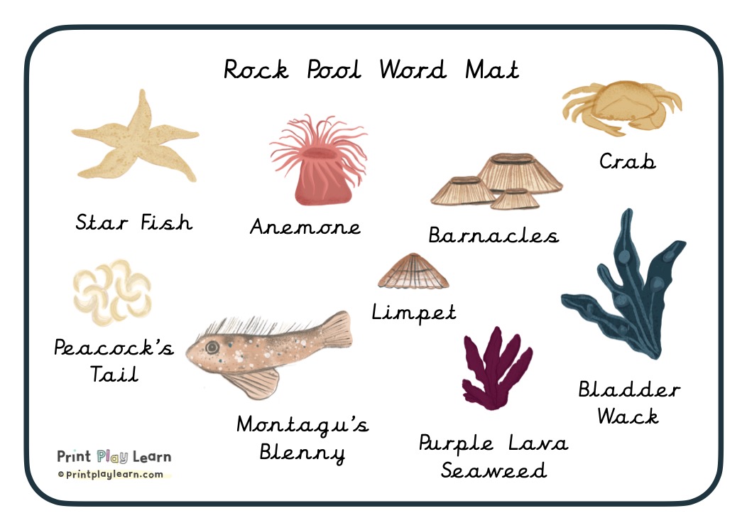 Word Mat for Children: Rock Pool - Printable Teaching Resources - Print ...