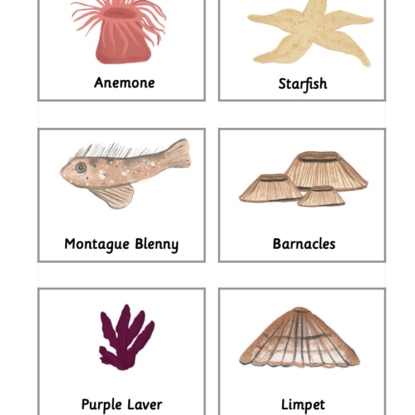 Downloads Archive - Page 2 of 110 - Print Play Learn