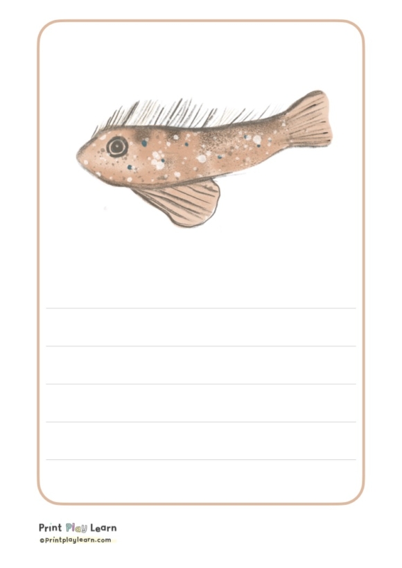 Descriptive Writing: Rock Pool - Printable Teaching Resources - Print ...