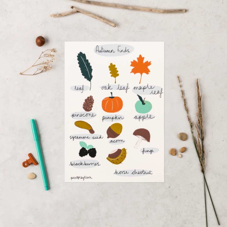 Leaf Identification Poster for Children - Printable Teaching Resources ...