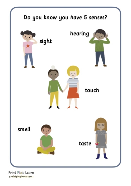 What are the 5 senses? - Printable Teaching Resources - Print Play Learn