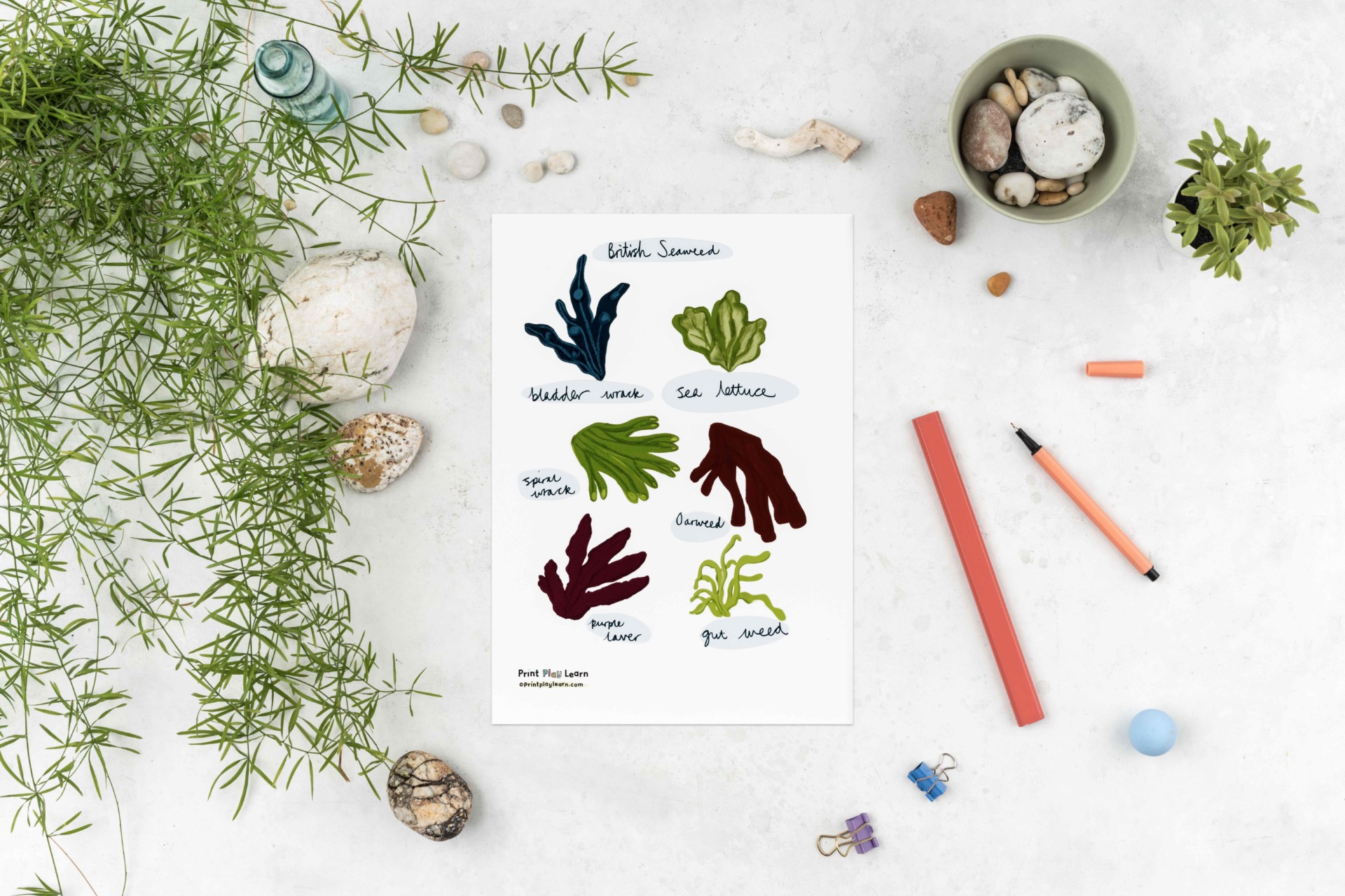 Beach, Coast and Seaside - Page 1 - Free Teaching Resources - Print ...