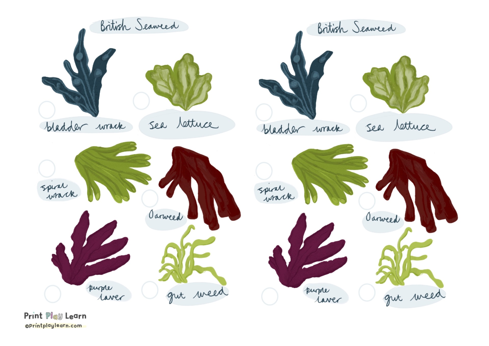 EYFS Teachers Resources Home Learning Print Play Learn