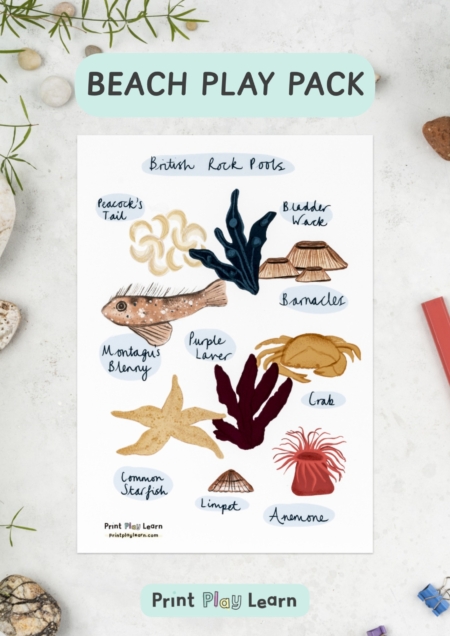 Beach, Coast and Seaside - Page 1 - Free Teaching Resources - Print ...