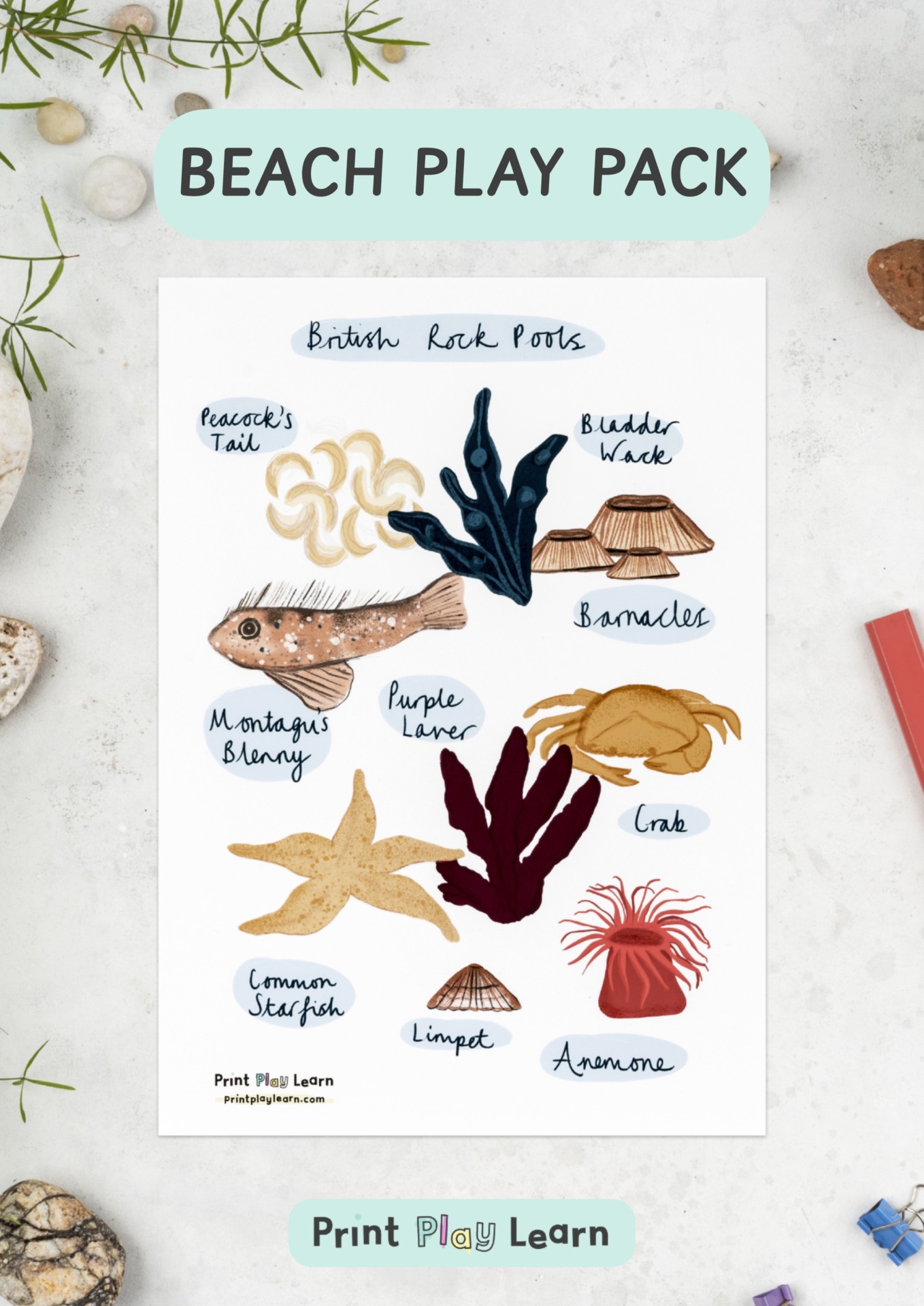 Beach, Coast and Seaside - Page 1 - Free Teaching Resources - Print ...